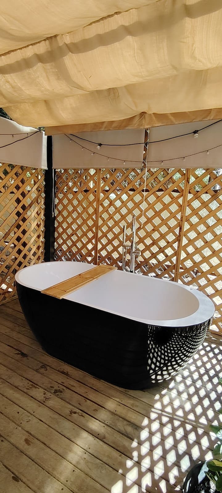 Pinos Del Mar Algarrobo-rayén - Algarrobo