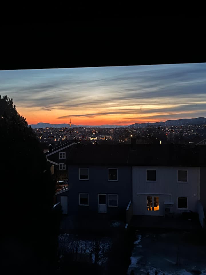 Flott 4-roms Leilighet På Byåsen - Trondheim