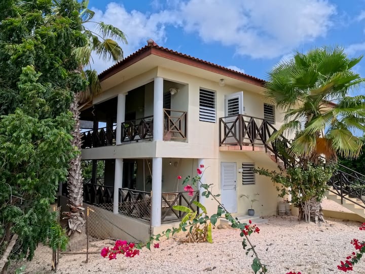 A Few Steps From The Sea - Curaçao