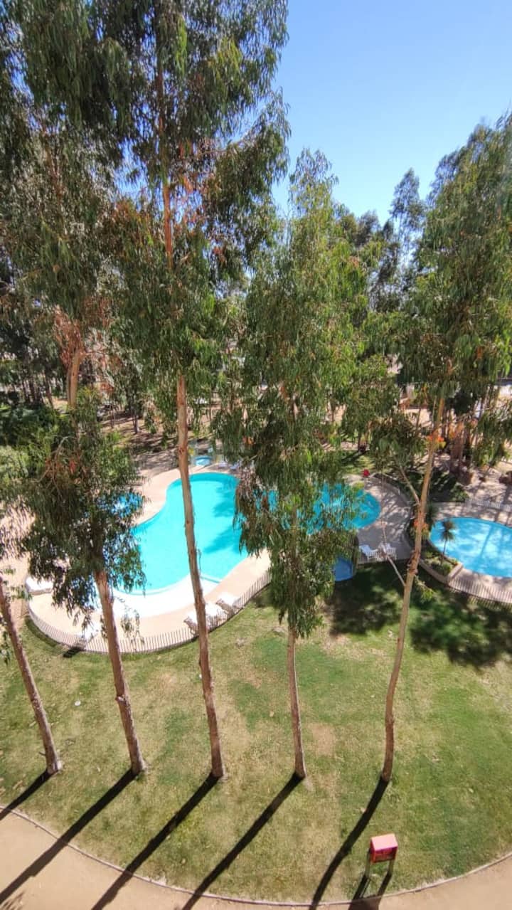 Costa Algarrobo Norte - Algarrobo