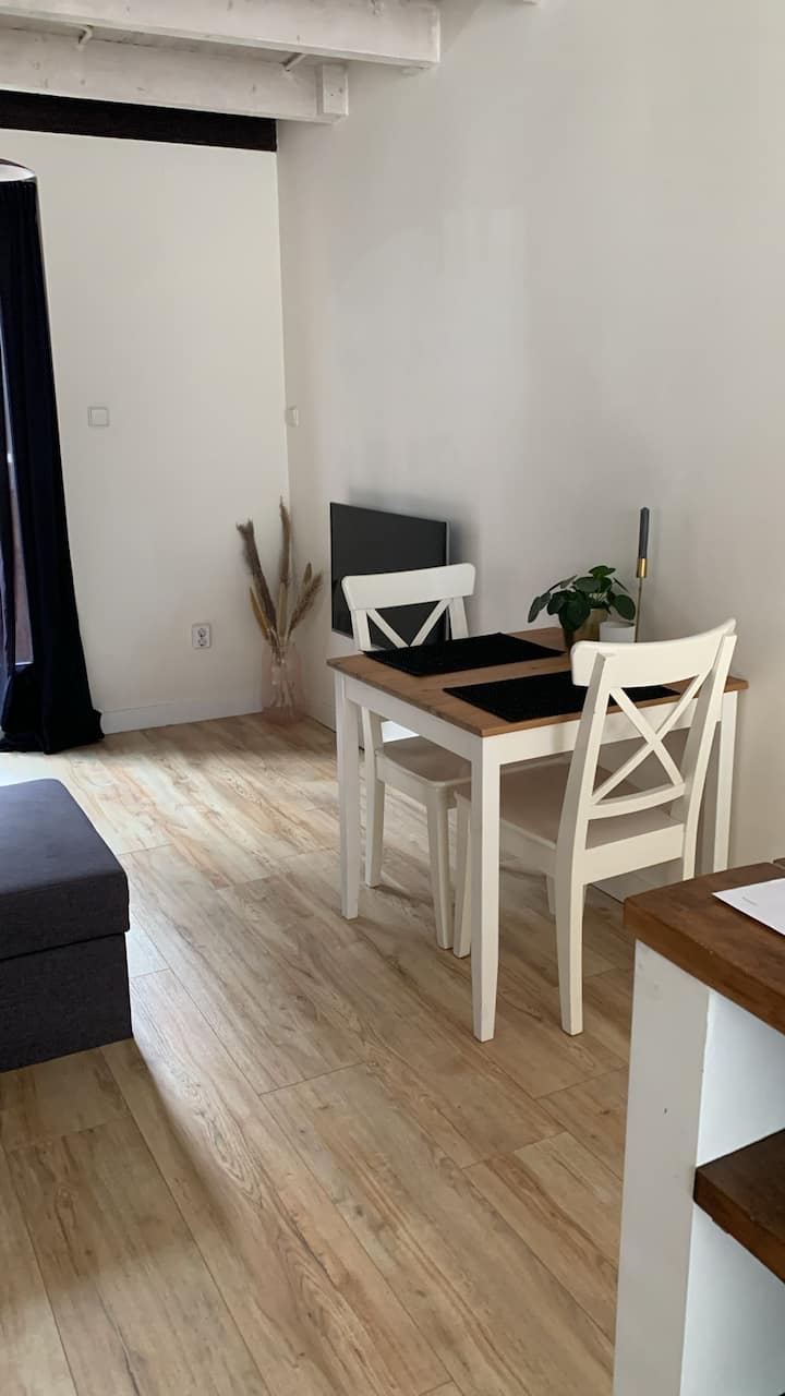 Studio In Het Centrum Van Gouda - Gouda