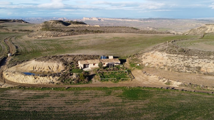 Bardena Blanca Nemesia - Navarre