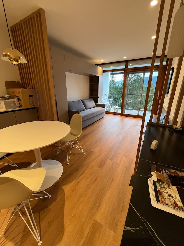 Design Appartment Am Ossiacher See Mit Seezugang - Villach