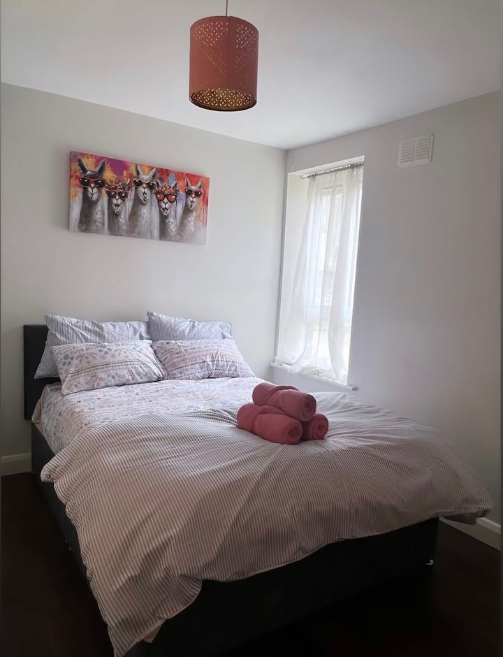 Heart Of Dublin Apartment - Dublin