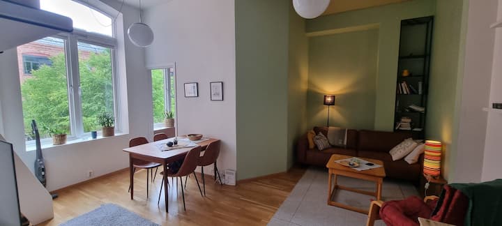 Cozy Loft Apartment - Oslo