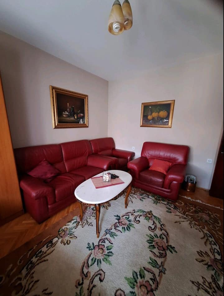 Apartman Rajna - 니슈