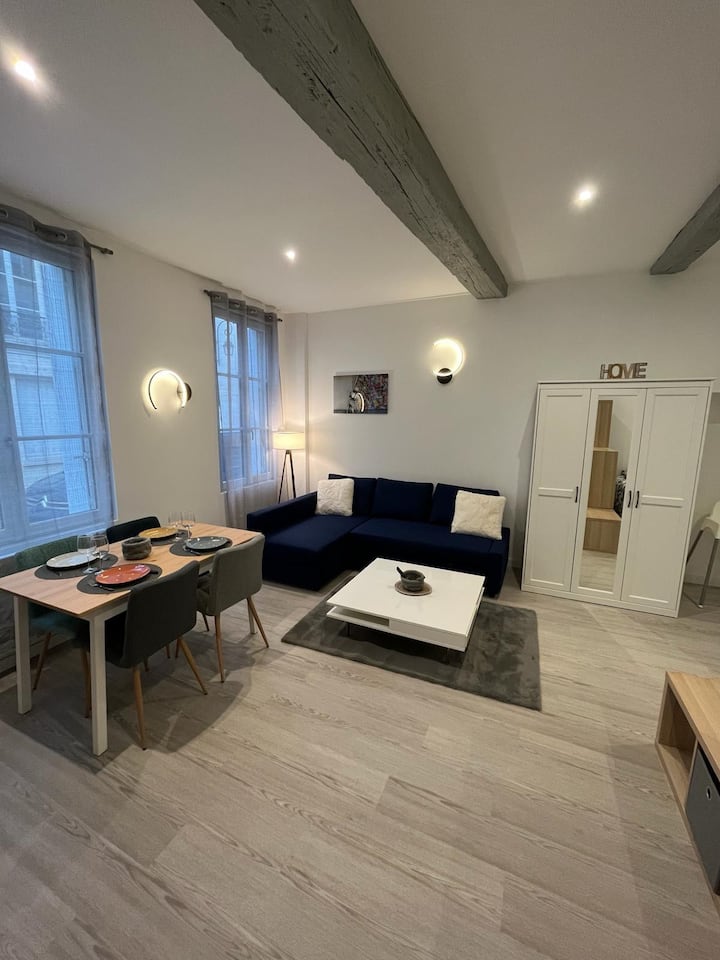 Grand Studio Cocooning En Ville - Orlean