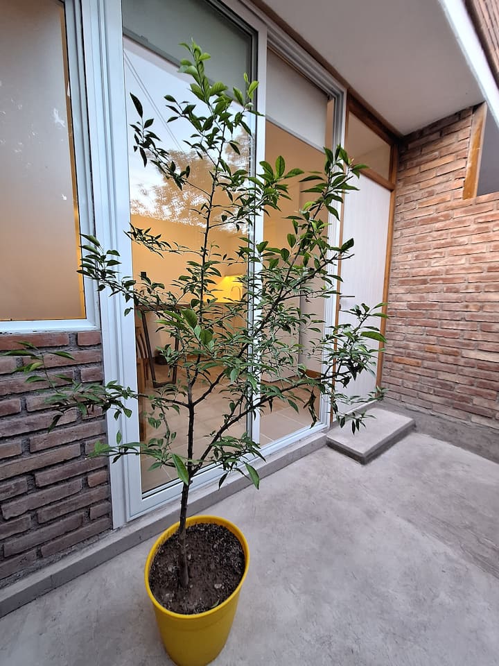 Dpto. A Metros Arístides, Vicente Gil 143 - Mendoza