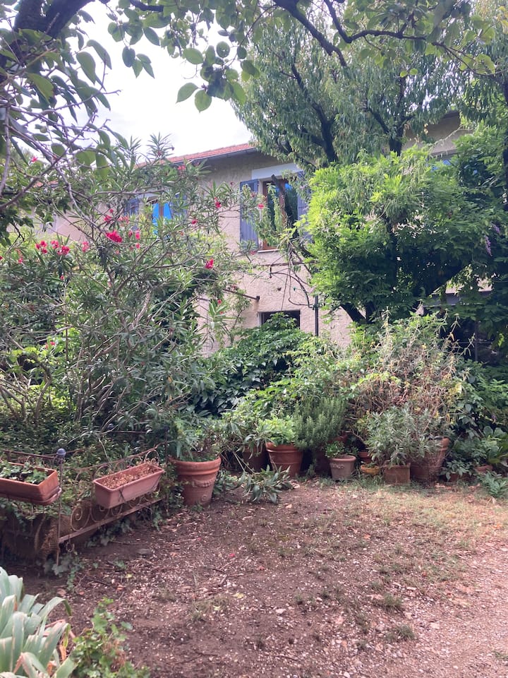 Villa L'oasis + Piscine - Avignon