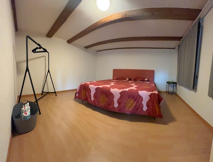 Altbauwohnung Mit Charme - St. Gallen