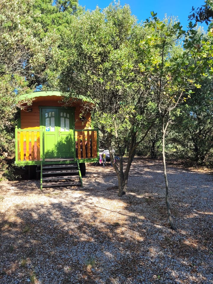 La Roulotte Des Oliviers Du Mont Ventoux - Bédoin