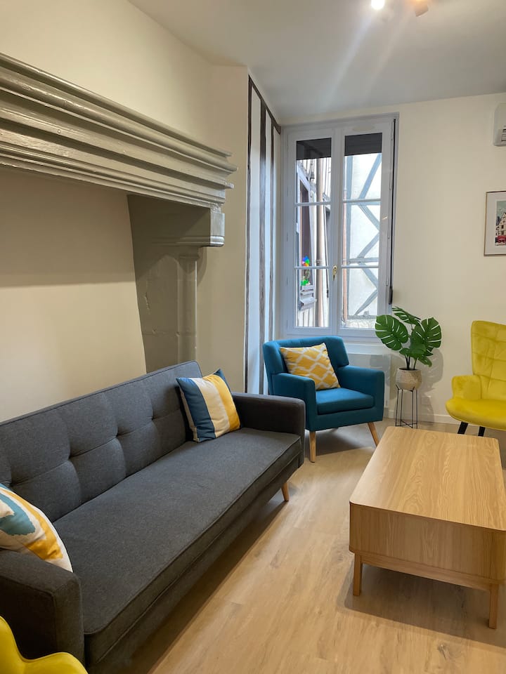 Triplex - Centre Historique - Bourges