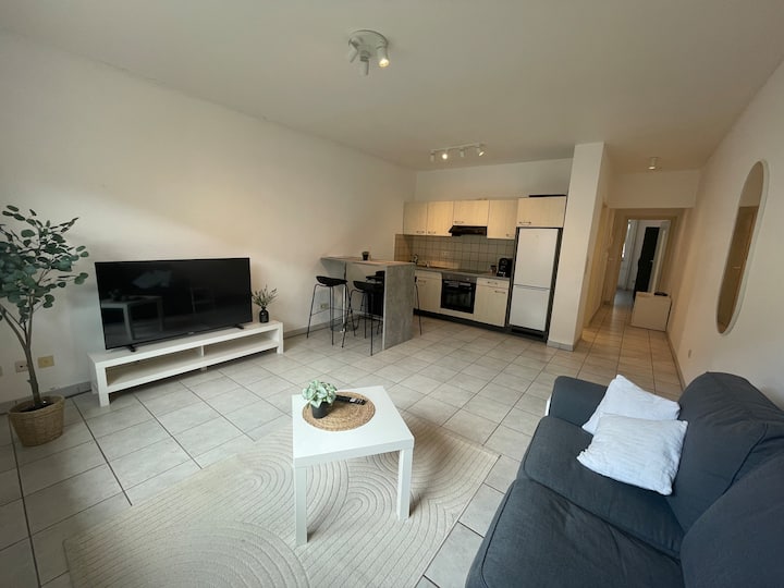 Appartement Lumineux Proche Du Luxembourg - Longwy