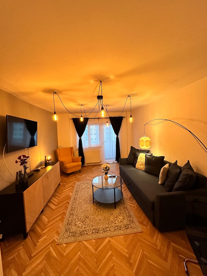 Simba’s Residence - Timișoara
