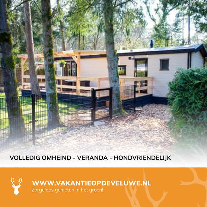Chalet Woef Op De Veluwe: Cv, Honden Welkom! - Netherlands