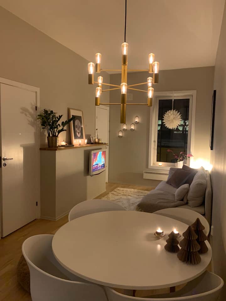 Sentral, Koselig Leilighet. - Oslo