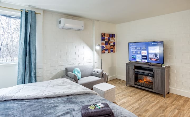 Studio W/ King Bed Near Dwtn - Rochester