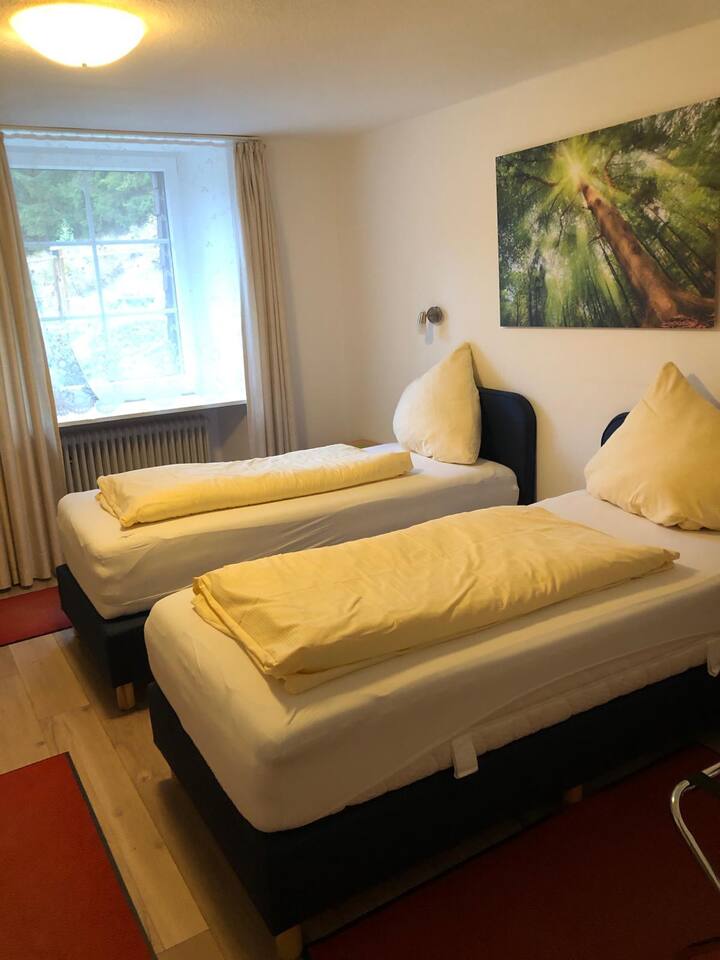Zimmer Zwei Einzelbetten-hotel Löffelschmiede - Titisee-Neustadt
