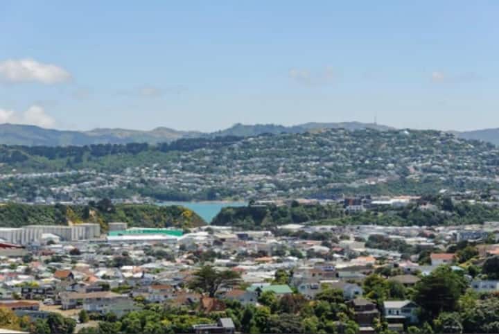 Tidy Tannadyce Townhouse - Wellington, Nueva Zelanda