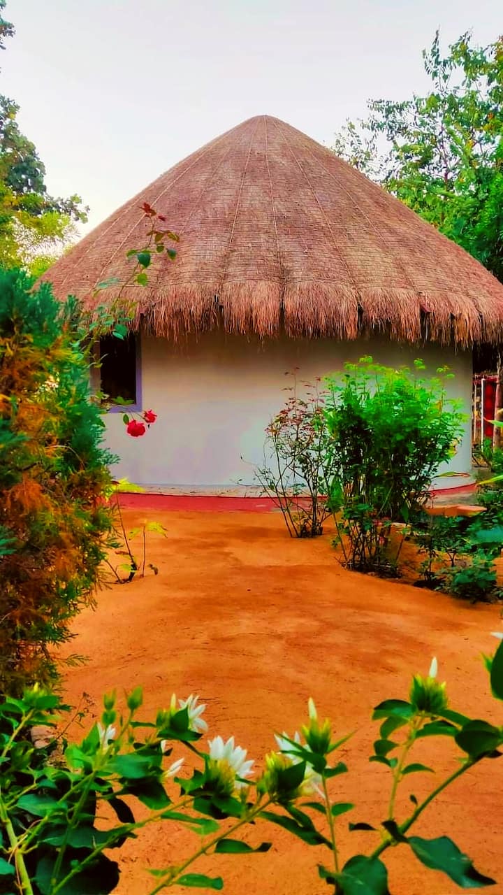 2-room Ac Luxestay | Pool | Resto | Pets Ok-forest - Rajasthan