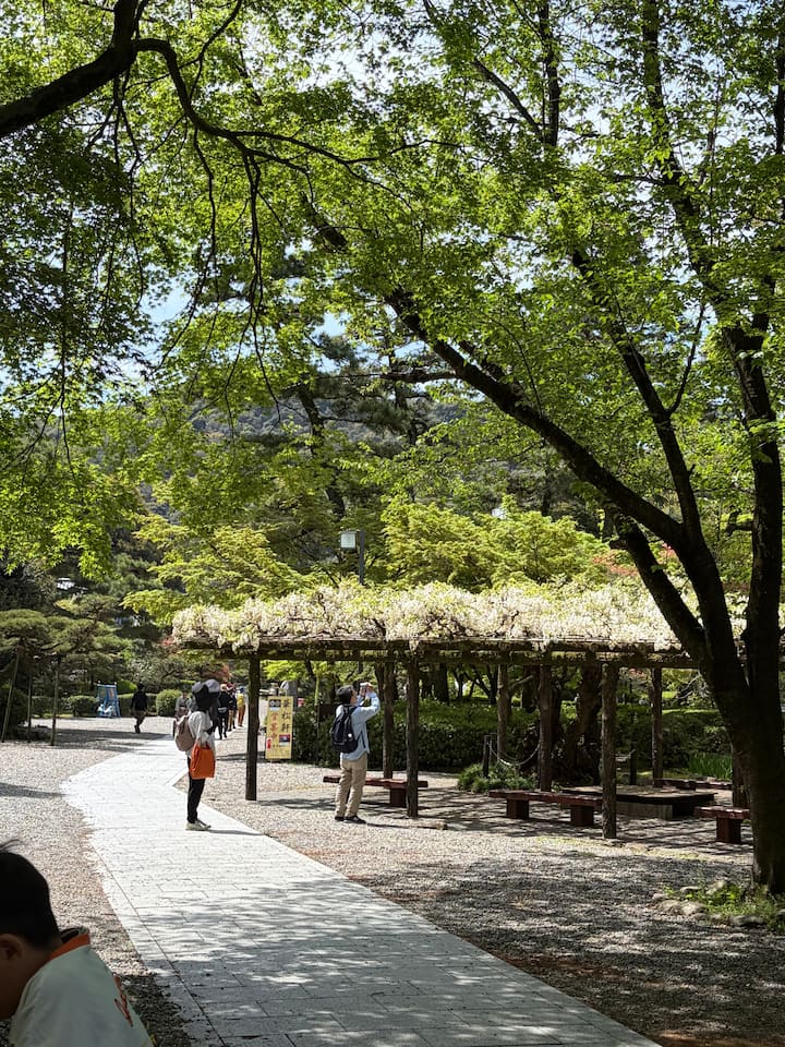 Cozy, Clean,  Convenient & Quiet  Home  In Gifu - Gifu