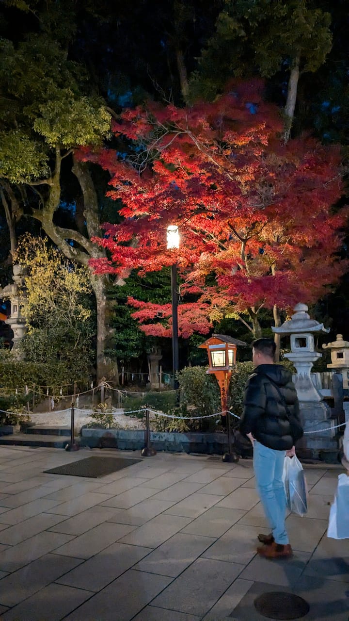 Cozy, Clean,  Convenient & Quiet  Home  In Gifu - Gifu, Japan