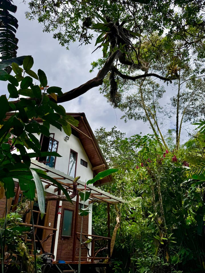 Mindo Peaceful Paradise By The River - Mindo Valley