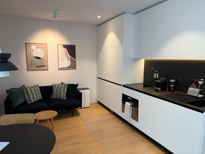 Studio N°1 - Erlenbach