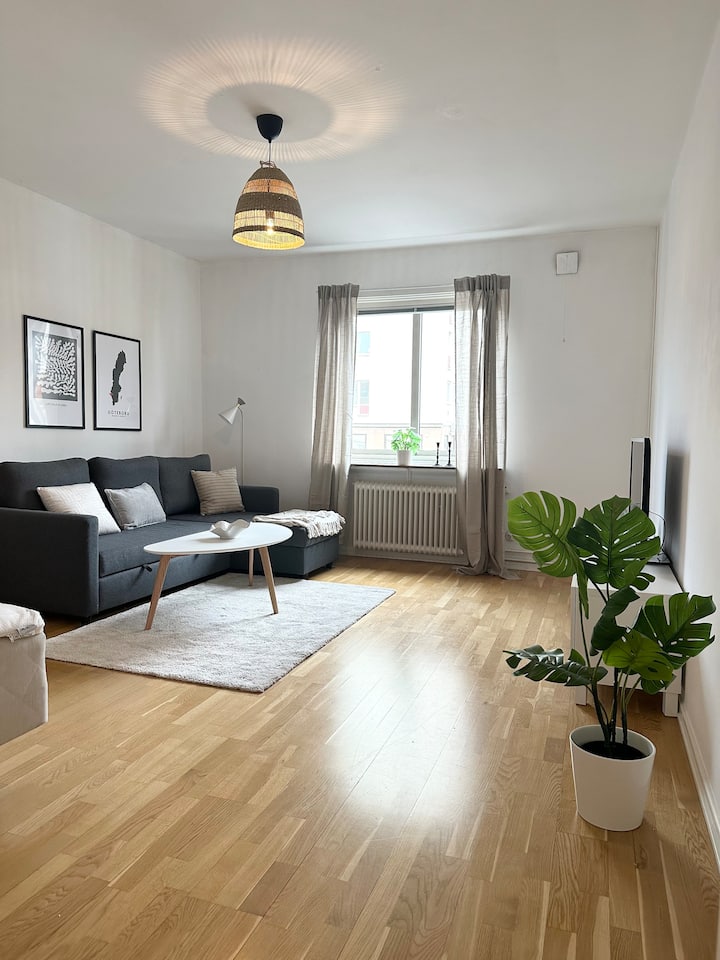 Central & Spacious Apartment - Gotemburgo