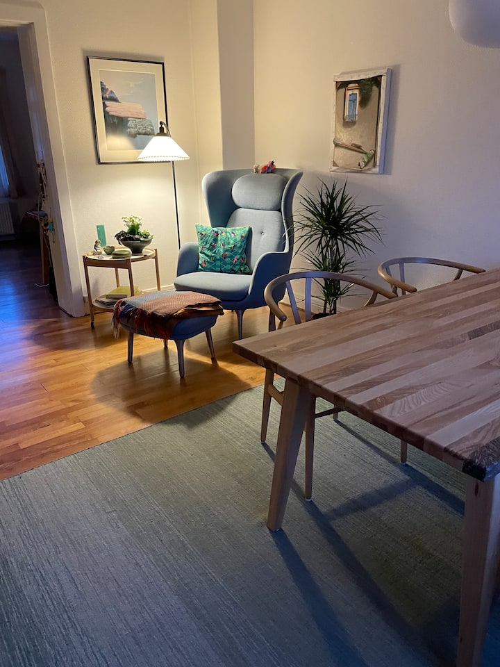 Hyggelig 3 Værelses Lejlighed. - Copenhague
