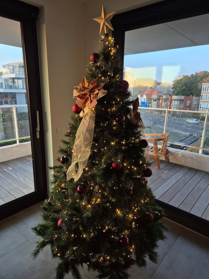 Rolanor Suites - La Panne