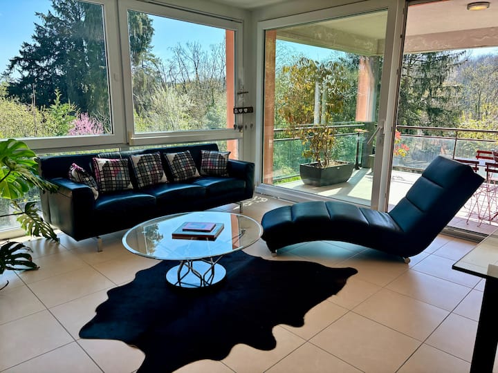 Spacieux Appartement Avec 2 Chambres - Mulhouse