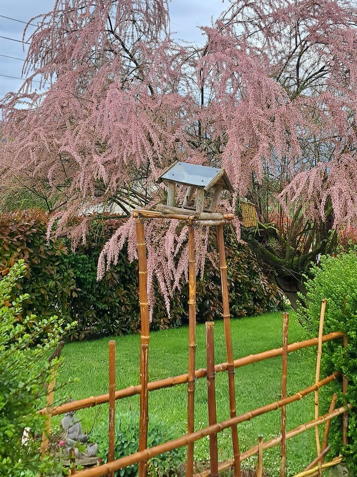 Logement Entier - Vierzon