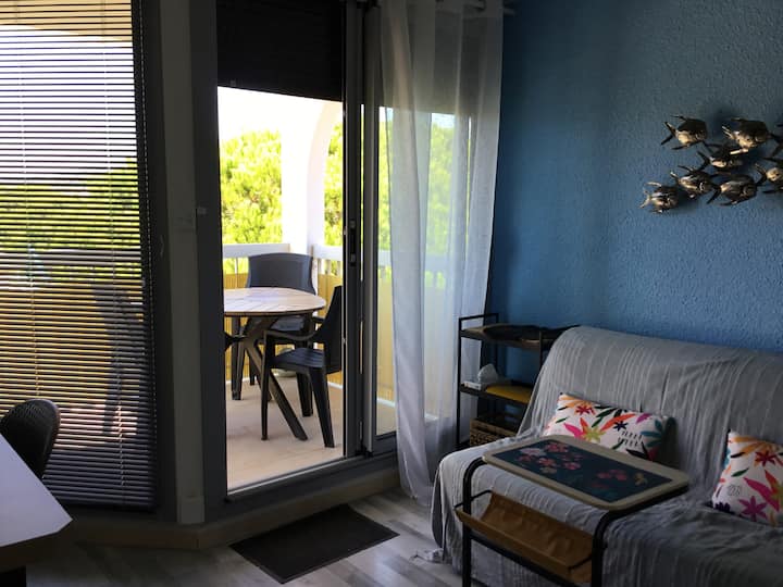 Location Appartement Climatisé Avec  Wifi Et Télé - Gruissan