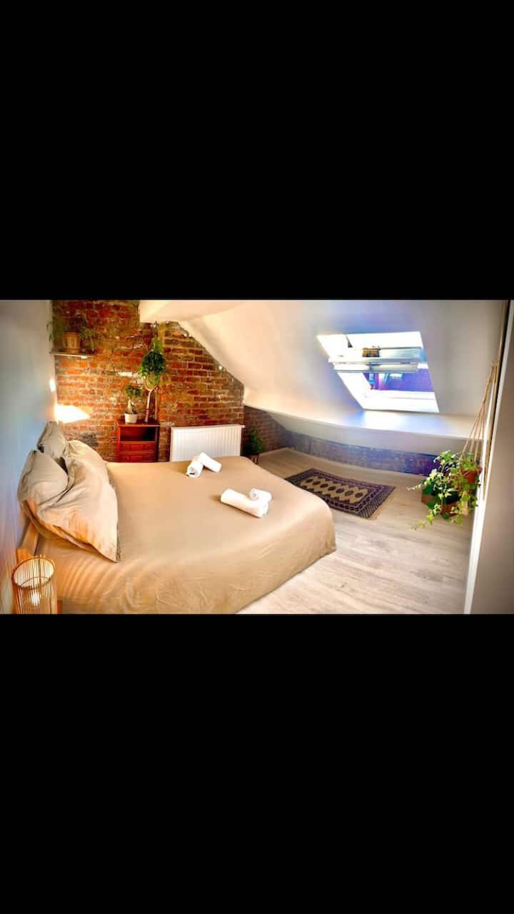 Deux Petites Chambres St Gilles - Brussels