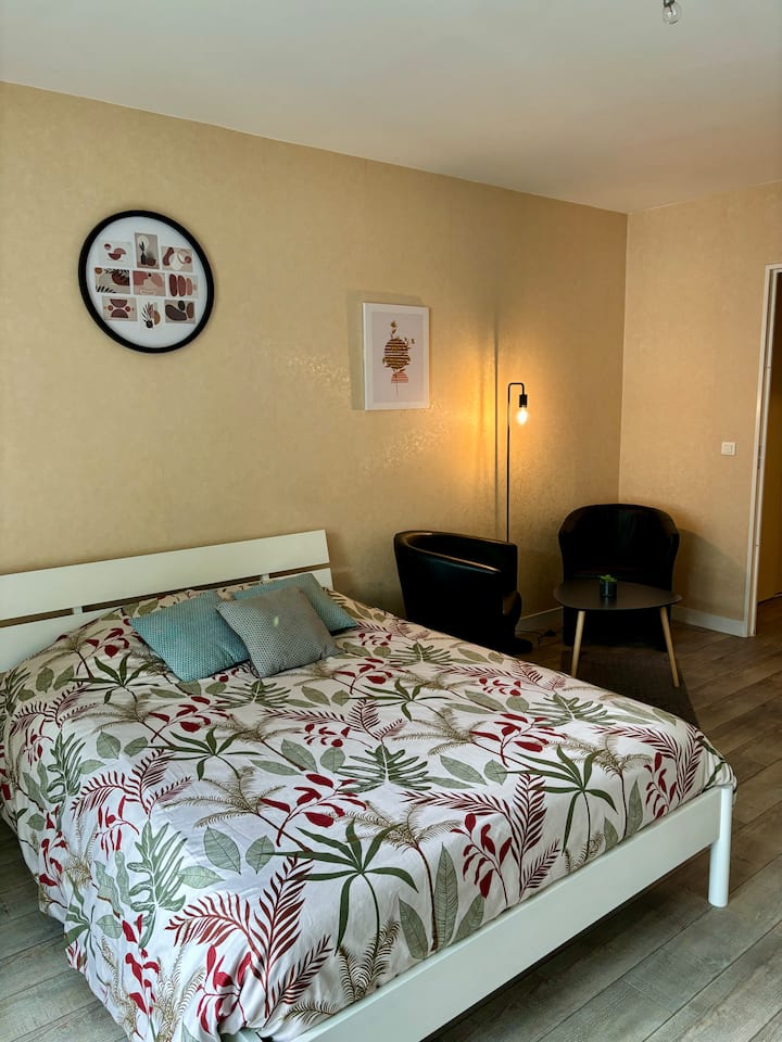 Charmant Studio - Tours
