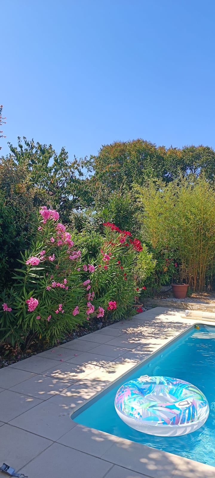 Offre Maisontoulouse Piscine Privée Clim - Toulouse