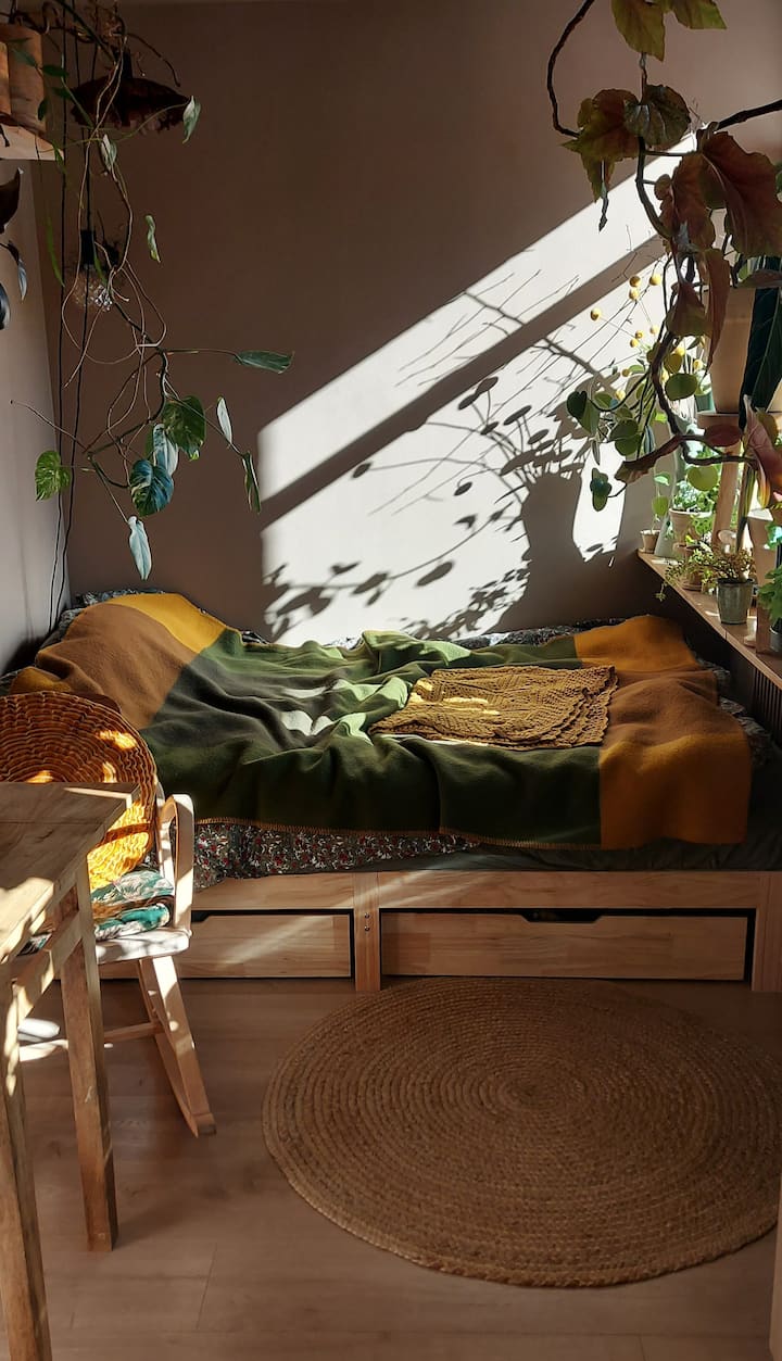 The Tiny Jungle - Oslo