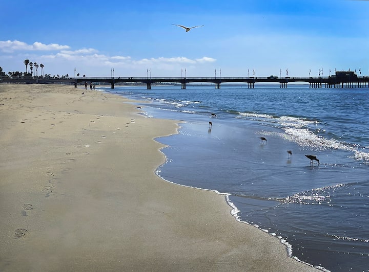 Ocean View Of Long Beach Harbor - Long Beach, CA
