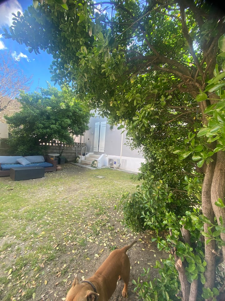 La Casa Al Mare Di Elisa 10 B - Cesenatico