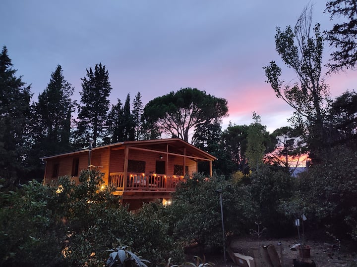 Cabaña En El Bosque Con Barbacoa, Paellera - Navacerrada