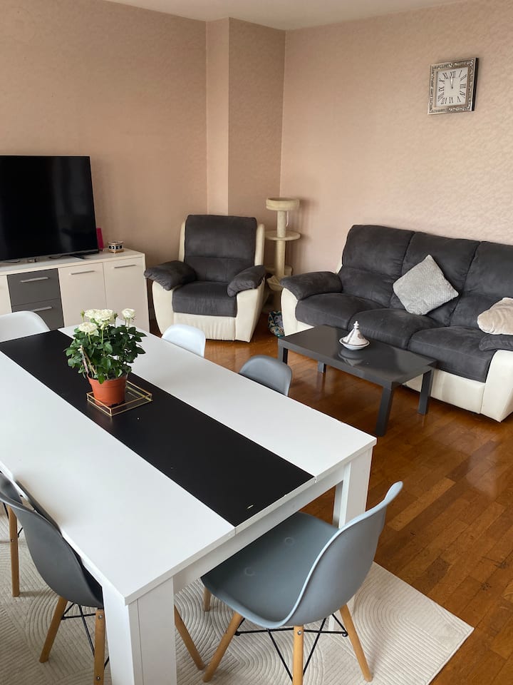 Appartement Au Cœur De Savoie - Ugine