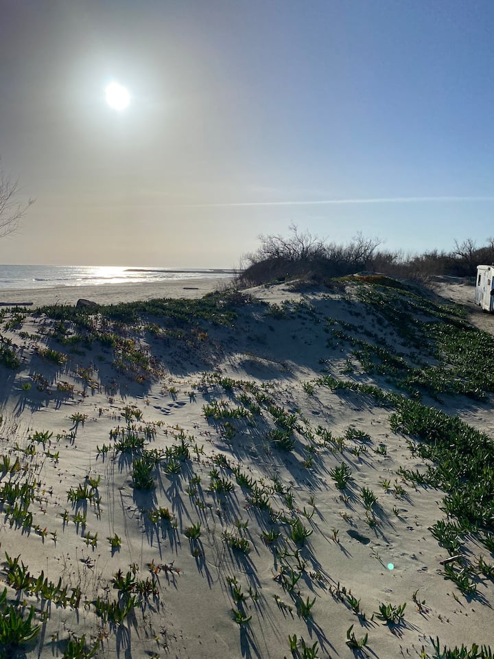 Appartement Les Pieds Dans L’eau - Saintes-Maries-de-la-Mer
