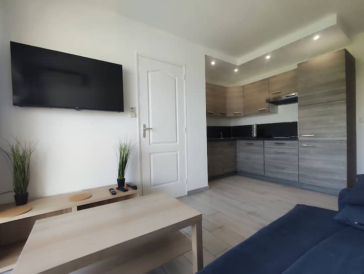 Appartement Proche Croisette Et Plage 5 - Cannes