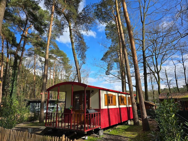 Pipowagen Met Prive Hot Tub - Lanaken