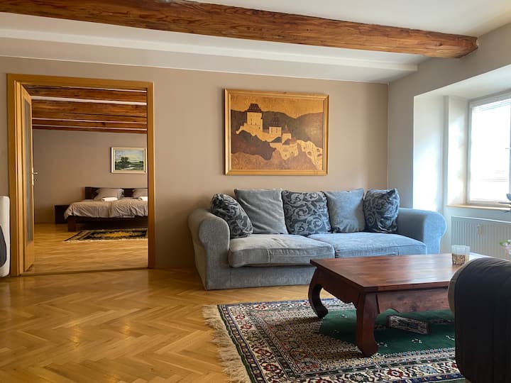 Old Town- Cozy Spacious Central Flat - Praga