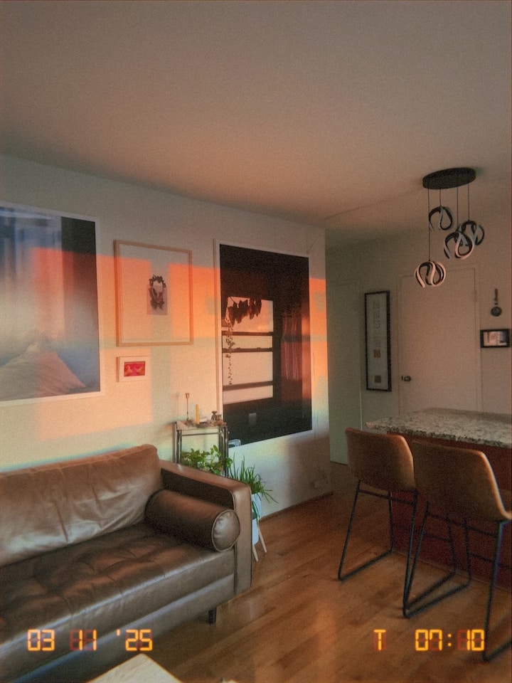 Lovely Lake Side Apartment - Chicago, IL