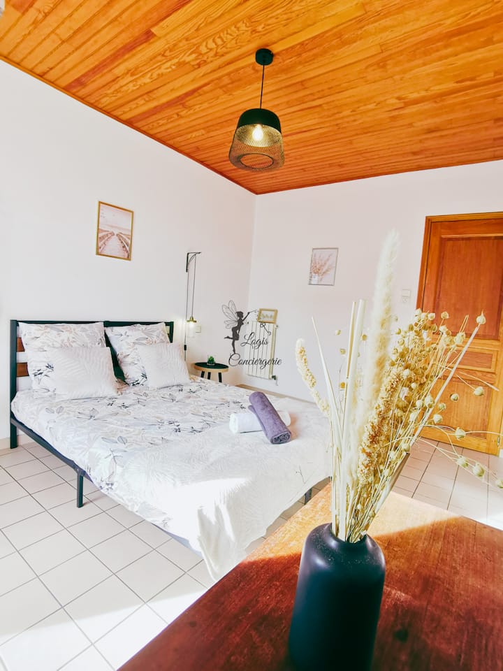 L'appt Du Bonheur, Vue Sur La Dune, Parking Privé - Biscarrosse