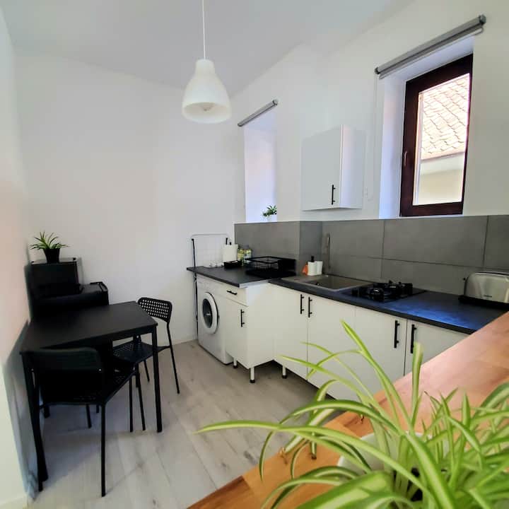 Cozy, Large And Quiet Downtown Studio - Brașov