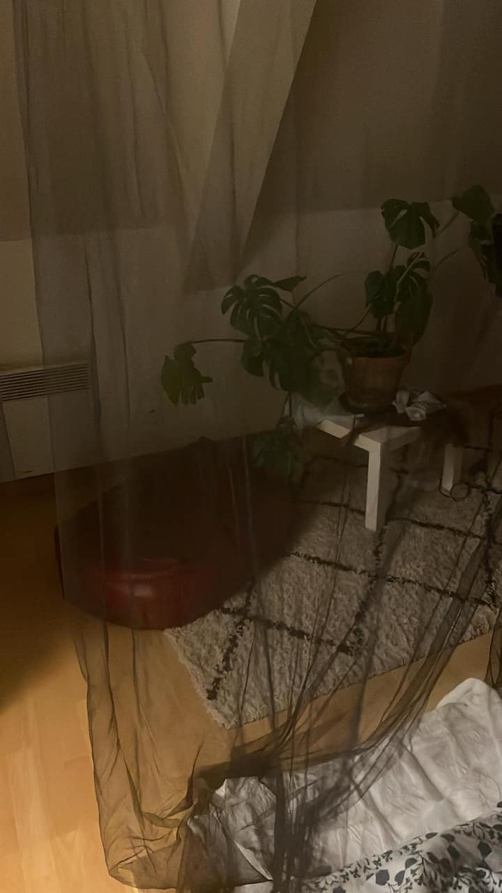 Chambre Chez L’habitant - Saint-Lô